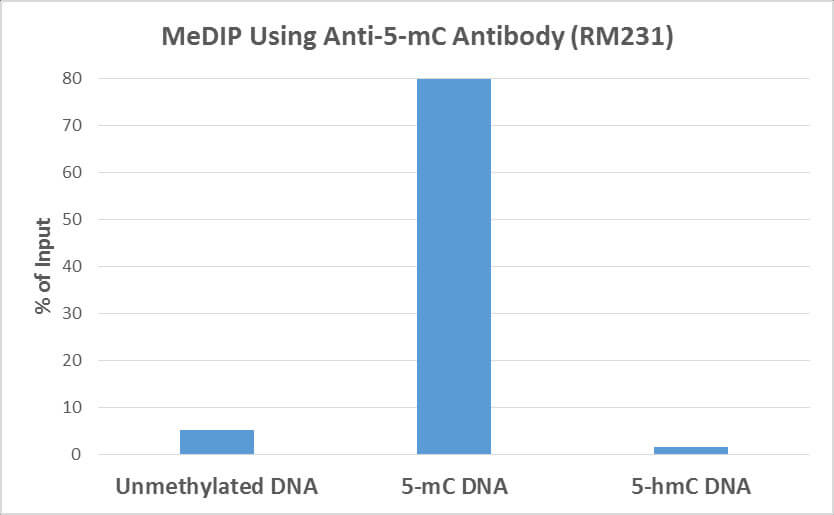 5-Methylcytosine (5-mC) antibody (rAb) - United Bio Research 5-Methylcytosine (5-mC) antibody (rAb) - United Bio Research