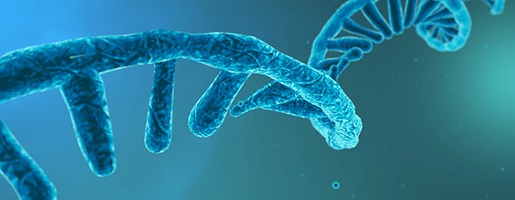 DBiT-Seq Takes Epigenetic and Transcriptomic Analysis to the Spatial ... DBiT-Seq Takes Epigenetic and Transcriptomic Analysis to the Spatial ...