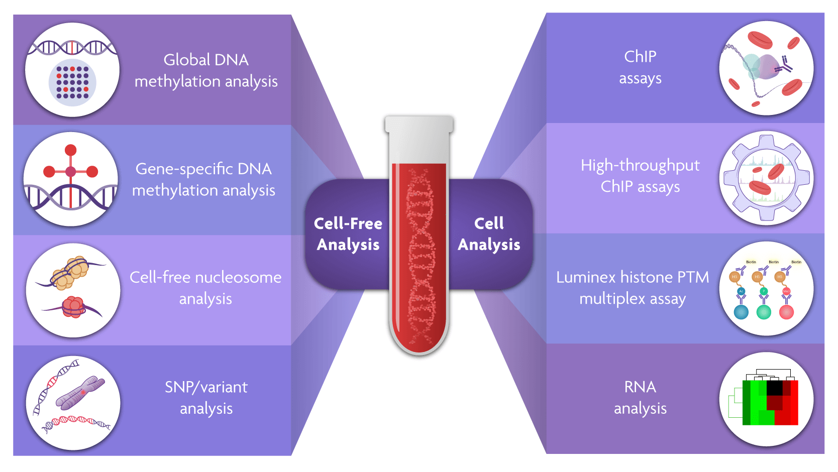 Enabling Epigenetic Analysis of Liquid Biopsy Samples Enabling Epigenetic Analysis of Liquid Biopsy Samples